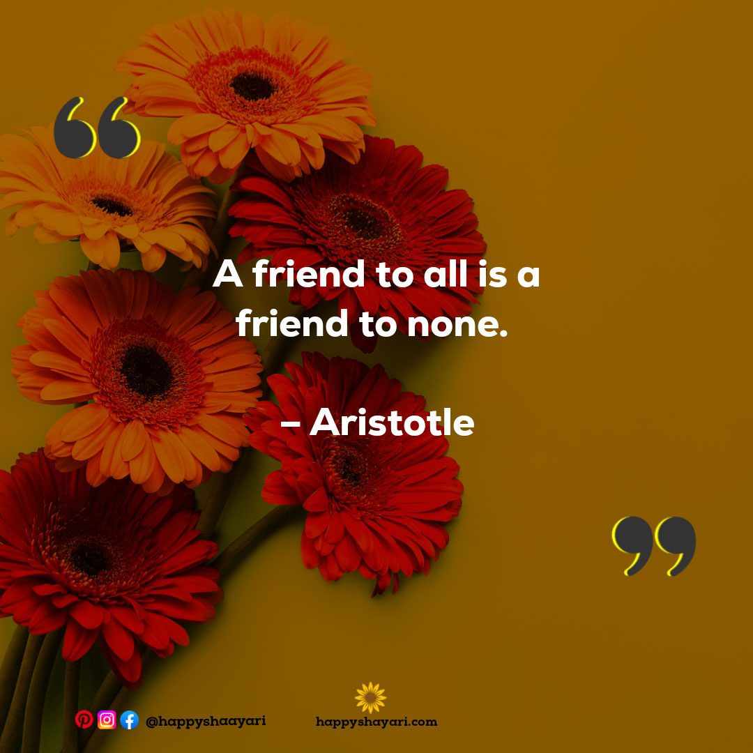 80+ Short Friendship Quotes & Captions for Friends, Tags, Send WhatsApp ...